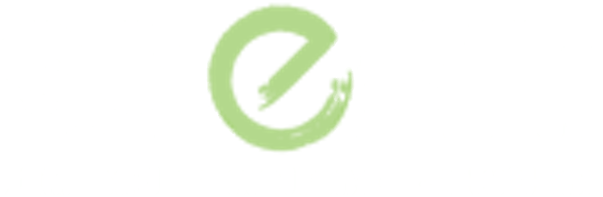 Selerant Corp. | Supply & Demand Chain Executive