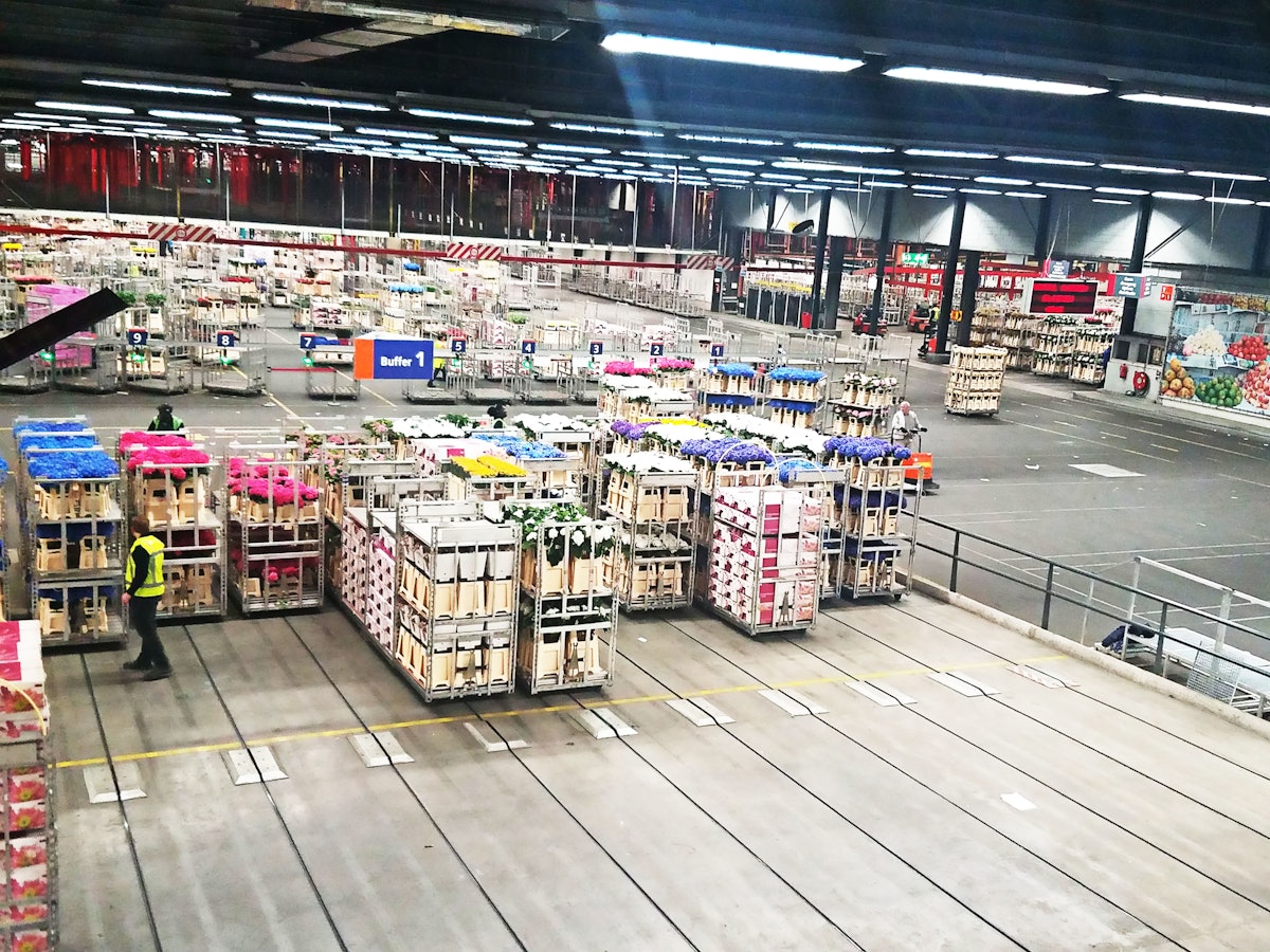 Flower-Handling Capabilities Bloom in the Cold Chain | Supply & Demand ...