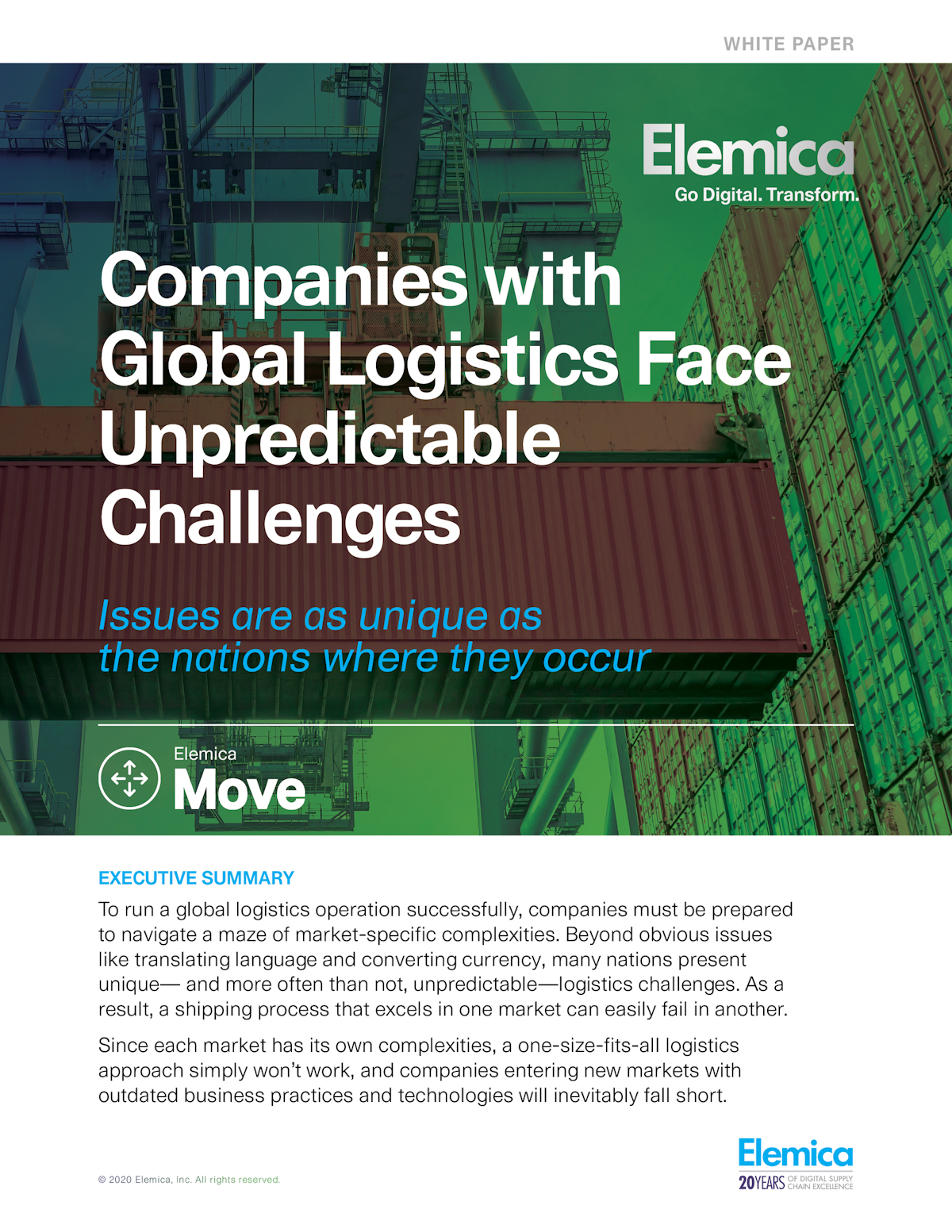 Companies with Global Logistics Face Unpredictable Challenges | Supply ...