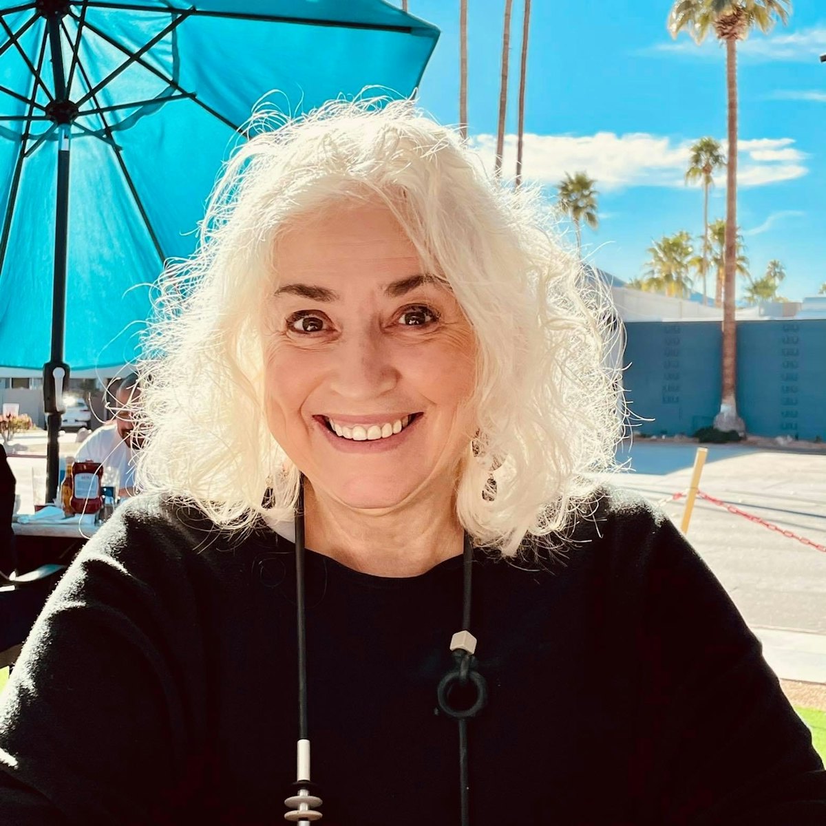 Terri Ghio | Supply & Demand Chain Executive